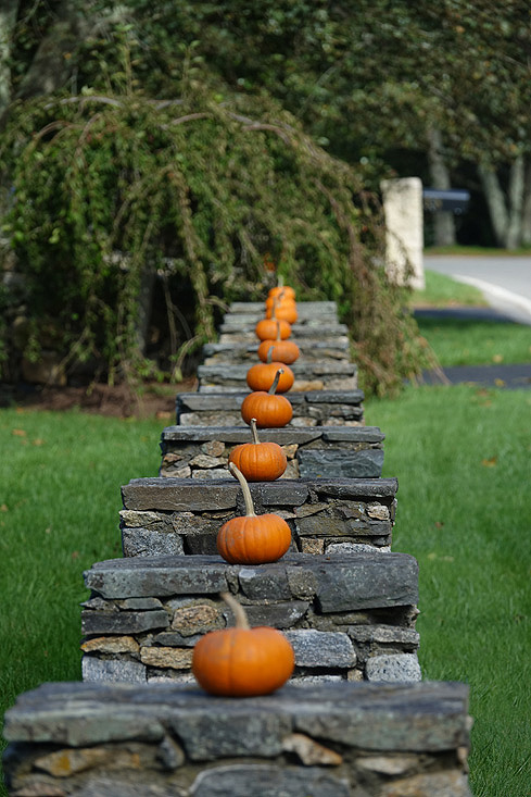 Cape Cod Photos of the Week of October 20th! - CapeCod.com