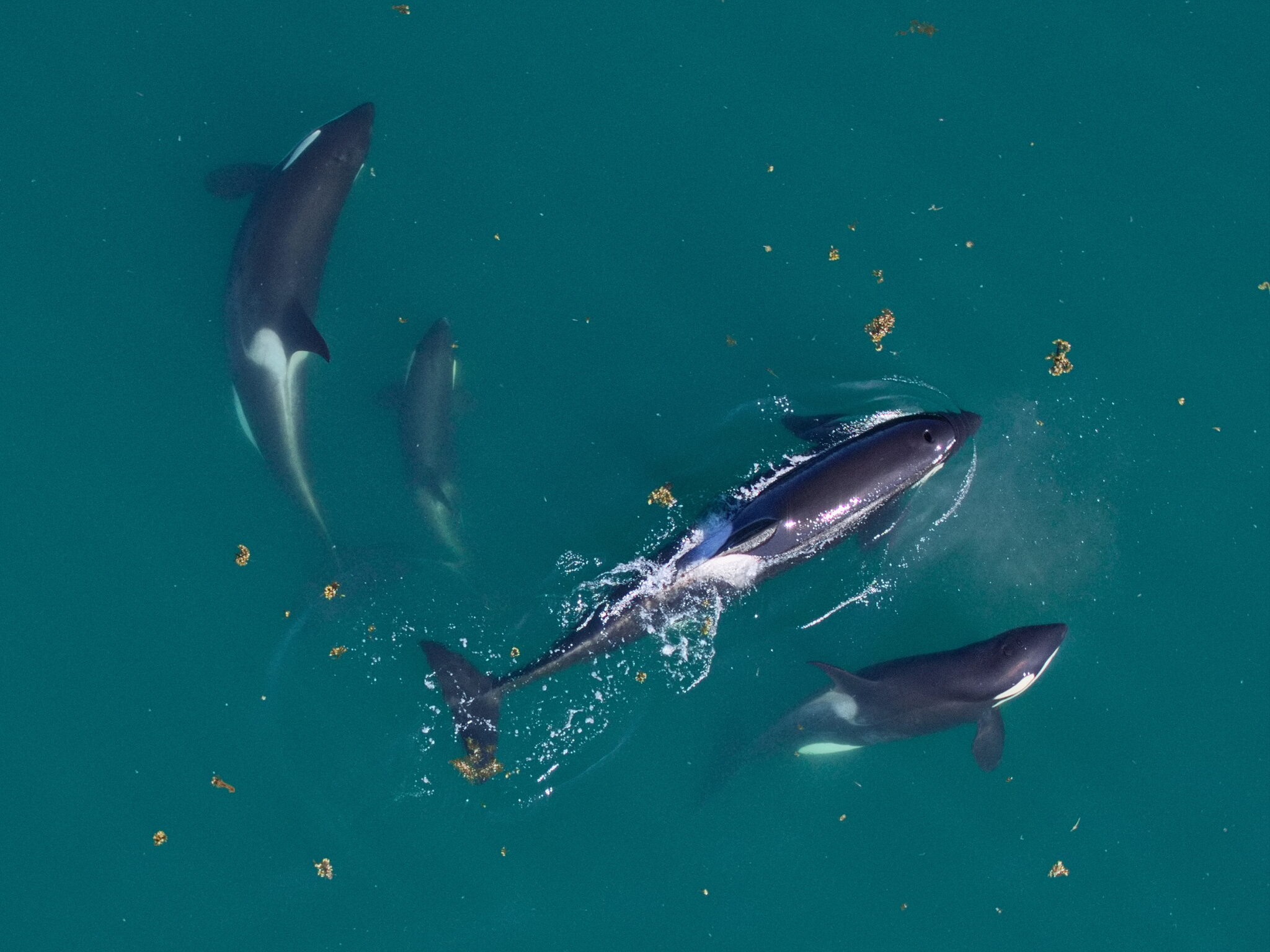 Ten Famous Faces: Celebrities Who’ve Called Cape Cod “Home” - CapeCod.com