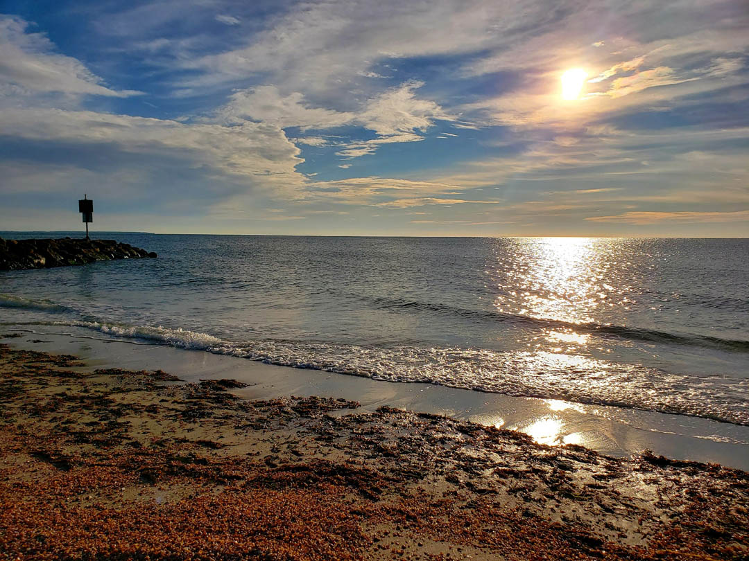 Barnstable State Rep, Town Council Take Action Against Dowses Beach Cables