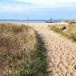 CapeCod.com - Your Source for everything Cape Cod