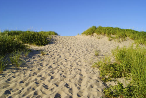 Cape Cod Dunes: Where to Find Them! - CapeCod.com