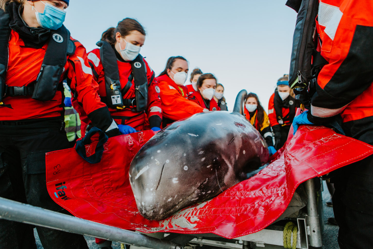 Cape Cod Aerial Photographs - CapeCod.com