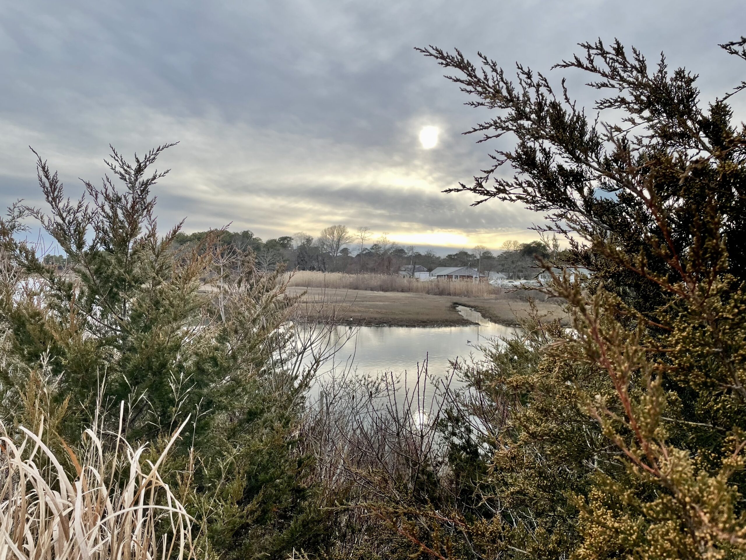 Sunday photo essay: Simply Cape Cod