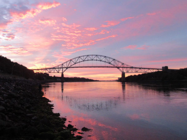 Plankton and Microplastics to be Monitored in Cape Cod Canal - CapeCod.com
