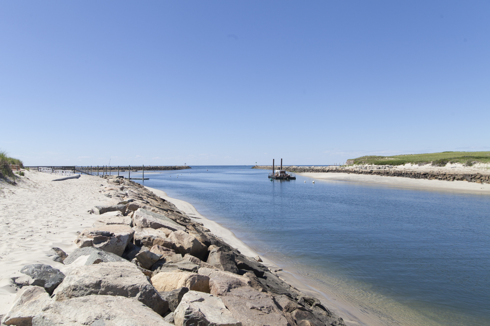 Are Dogs Allowed At Sesuit Harbor