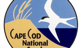 CapeCod.com - Your Source for everything Cape Cod