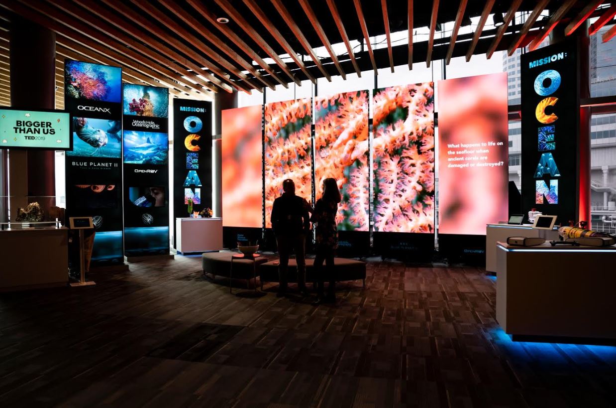 WHOI Collaborates on Immersive Ocean Exhibit at TED Conference