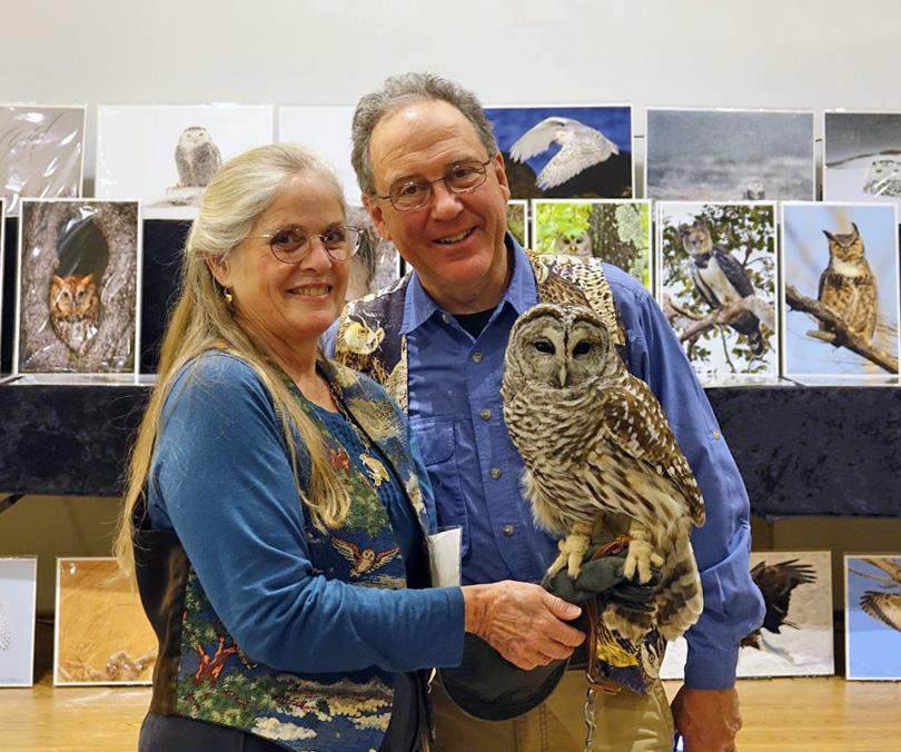 Eyes On Owls: A Fascinating Look At The World Of Owls Held at Museum Of ...