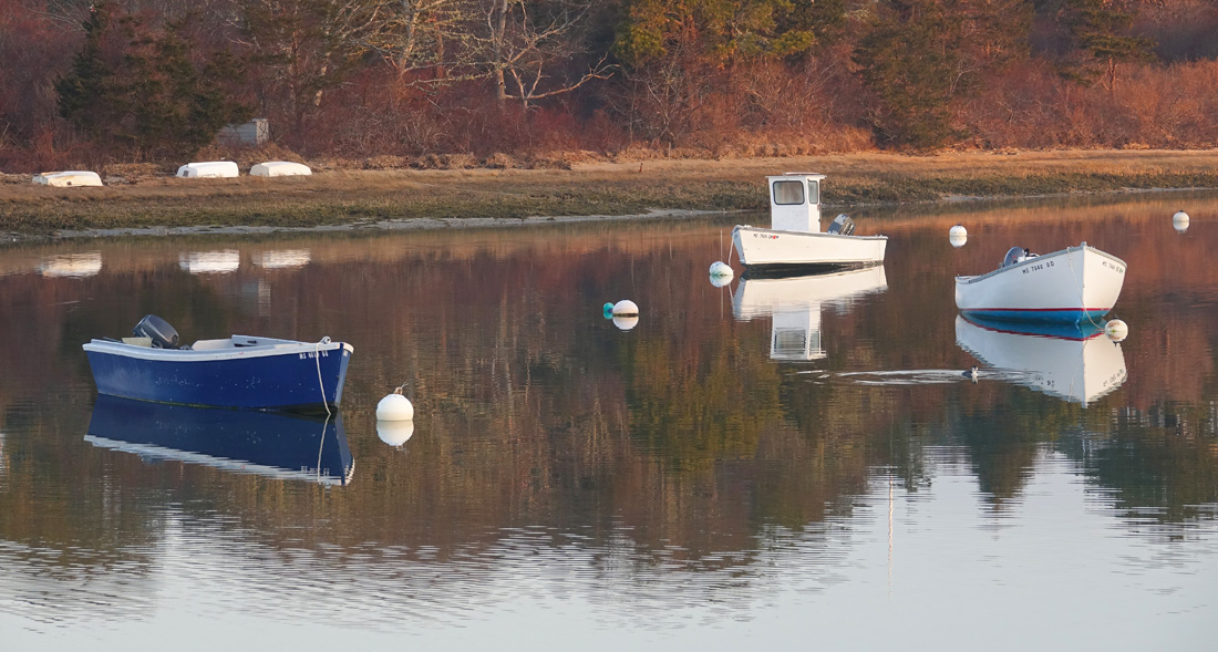 Cape Cod Scenic: March Gems! - CapeCod.com