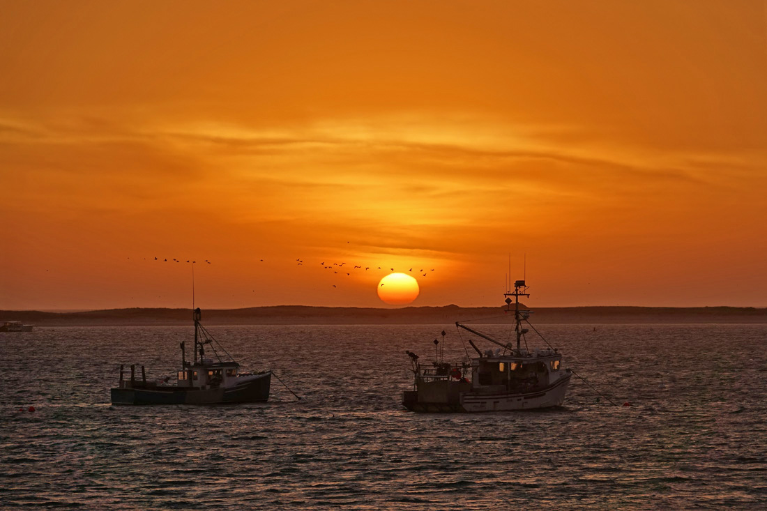 Events on Cape Cod - CapeCod.com