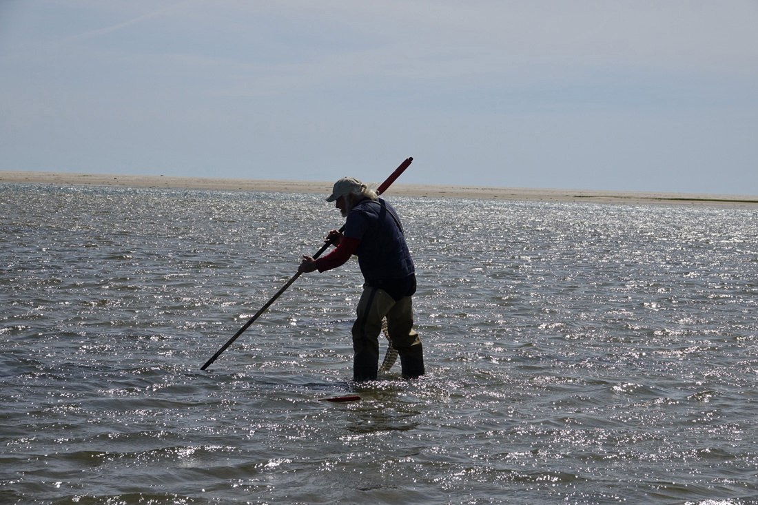Razor Clam Activity Booming in Eastern Cape Cod Bay - CapeCod.com