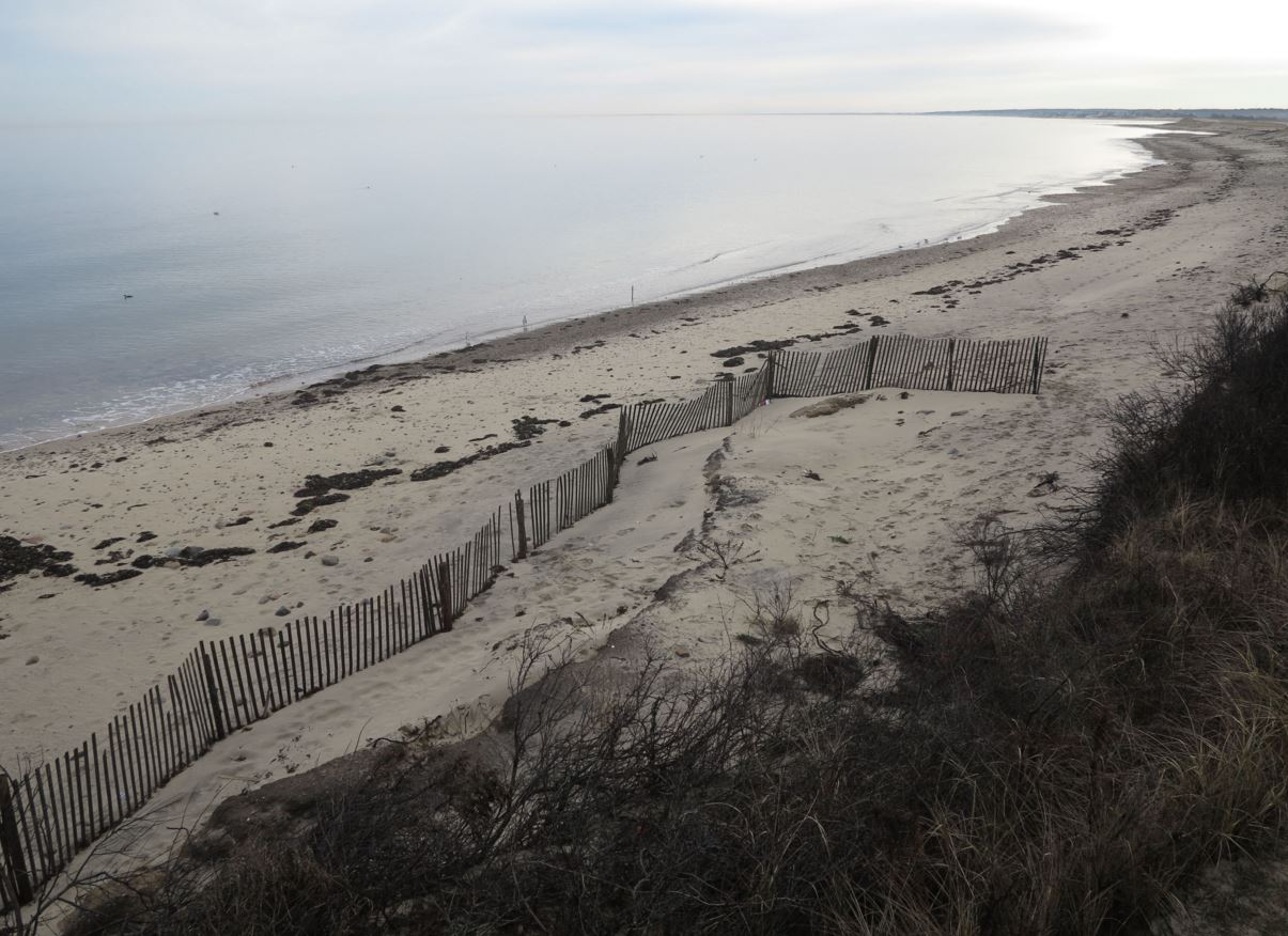 Webcam to Follow Progress of Town Neck Beach Project - CapeCod.com