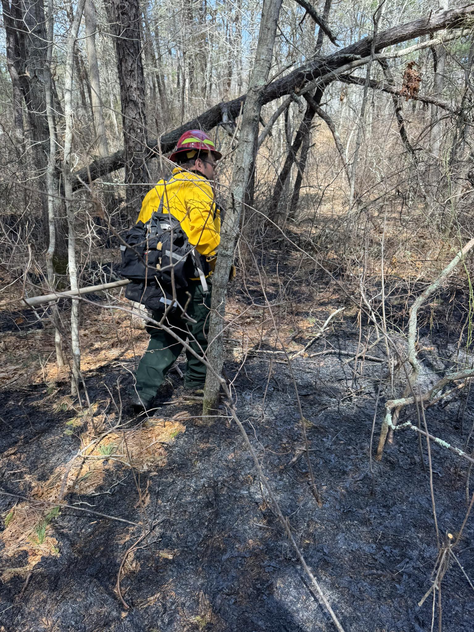 Truck fire, brush fire in Mashpee