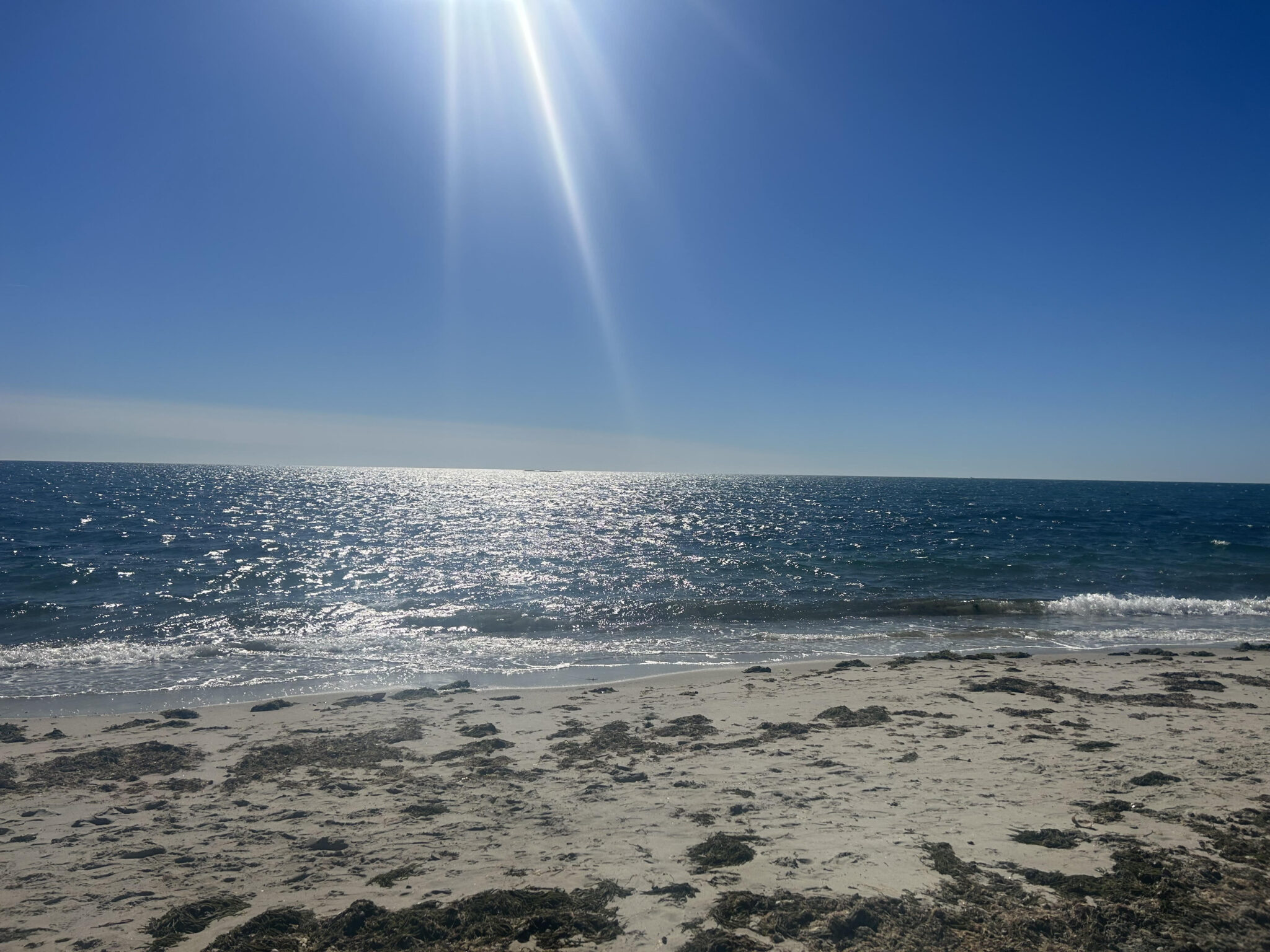 Events on Cape Cod - CapeCod.com