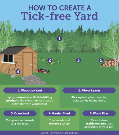 Cape Cod Tick Resource Guide - CapeCod.com