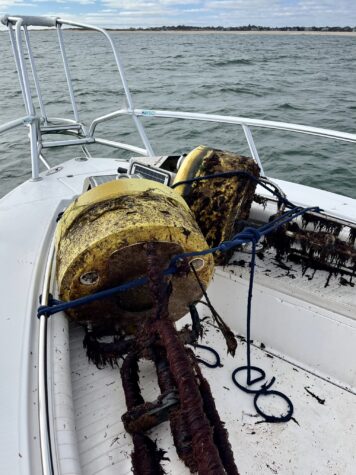 Events on Cape Cod - CapeCod.com